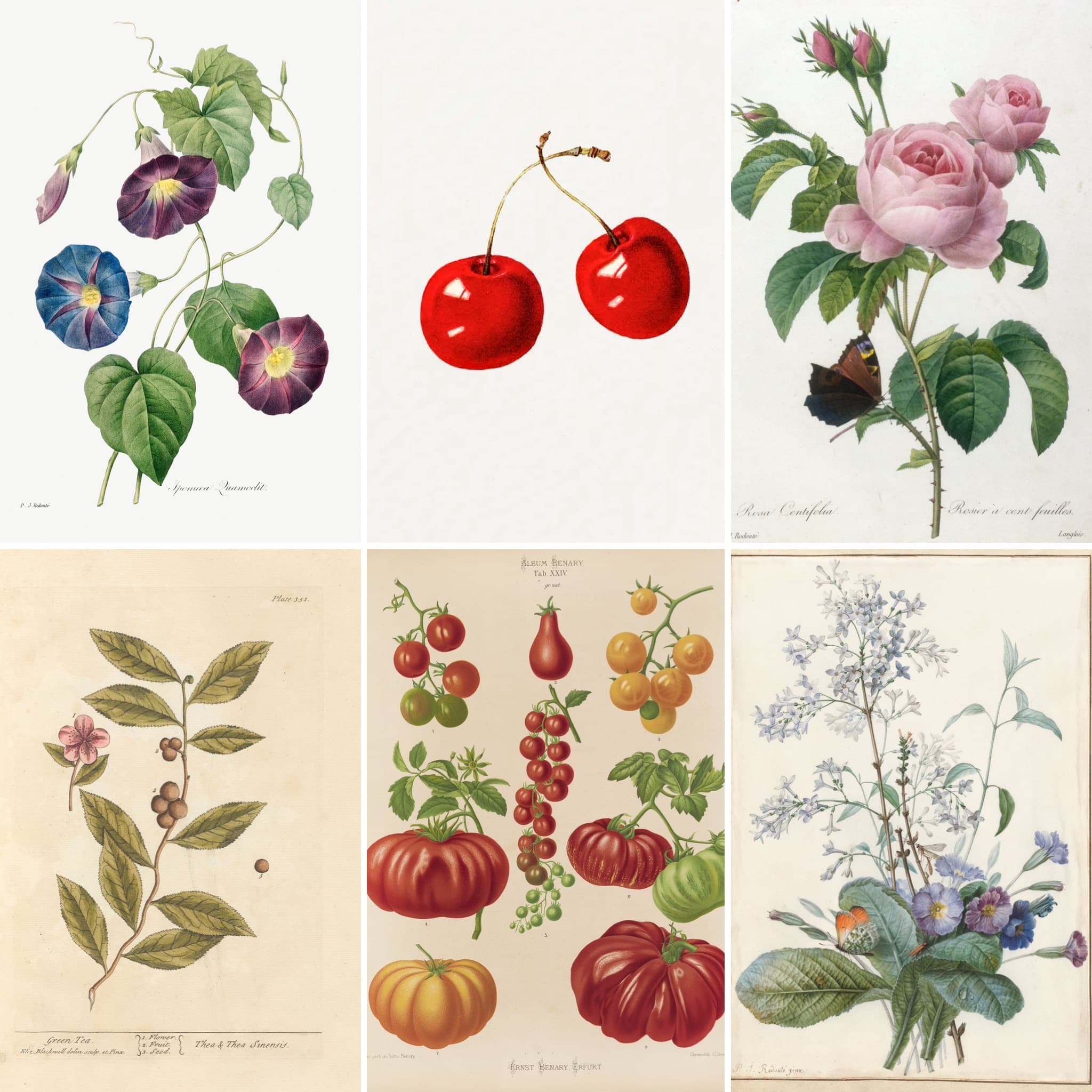 Art prints that add life to your wall space. – The Trumpet Shop Vintage ...